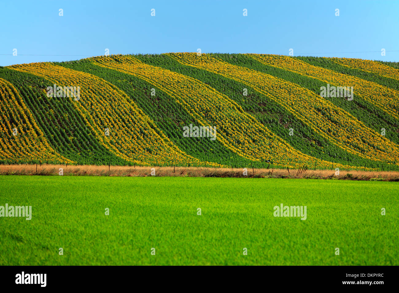 Spain green hi-res stock photography and images - Alamy
