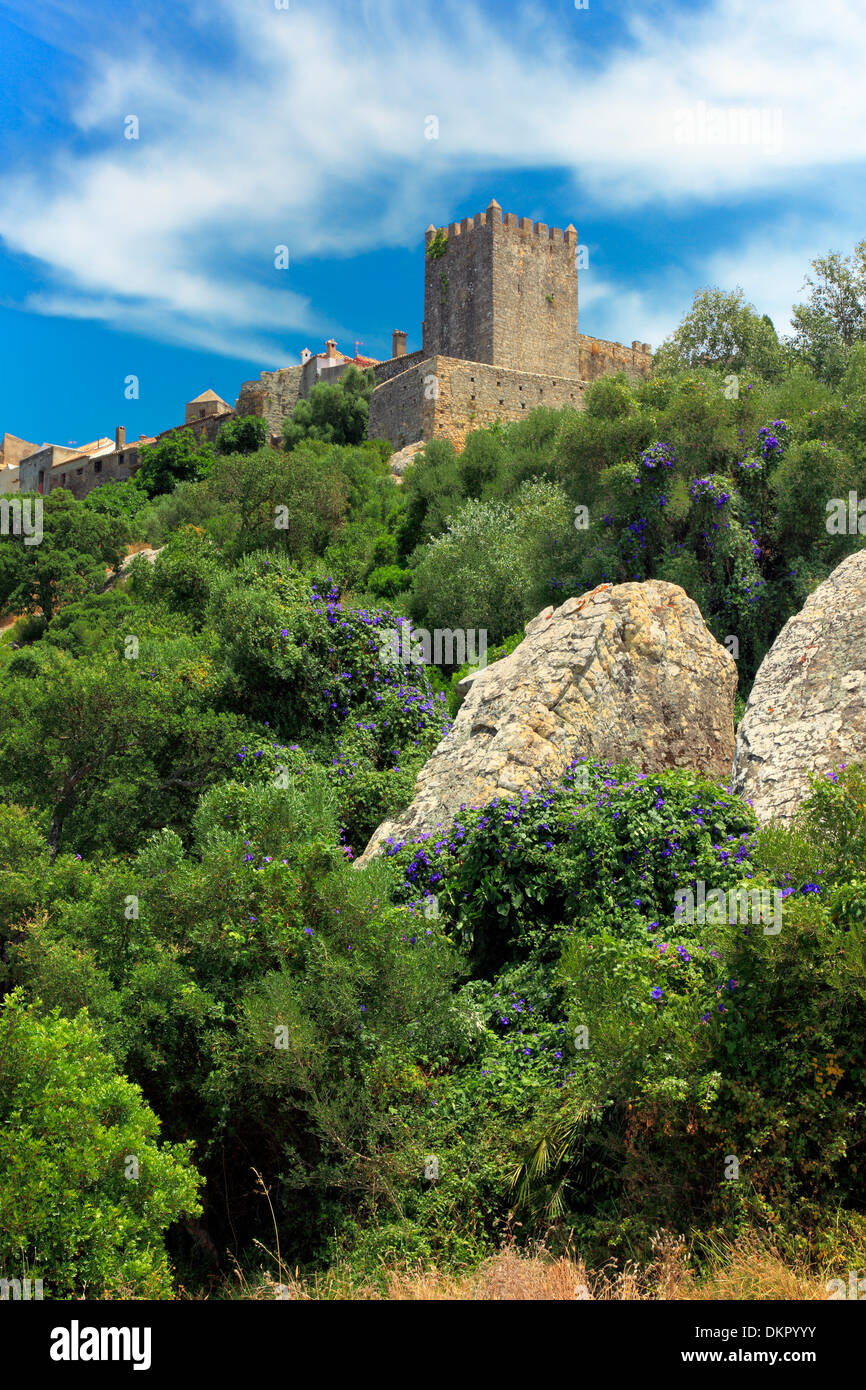 Andalusia spain castle hi-res stock photography and images - Alamy