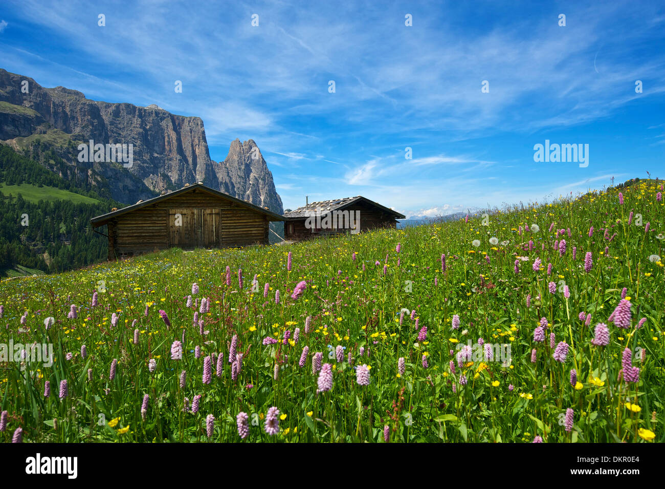South Tirol Italy Europe Schlern Seiser Alm Dolomites mountain ...