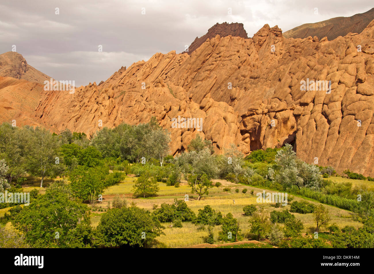 Africa atlas mountain landscape Boumalne Dades rock cliff cliff ...