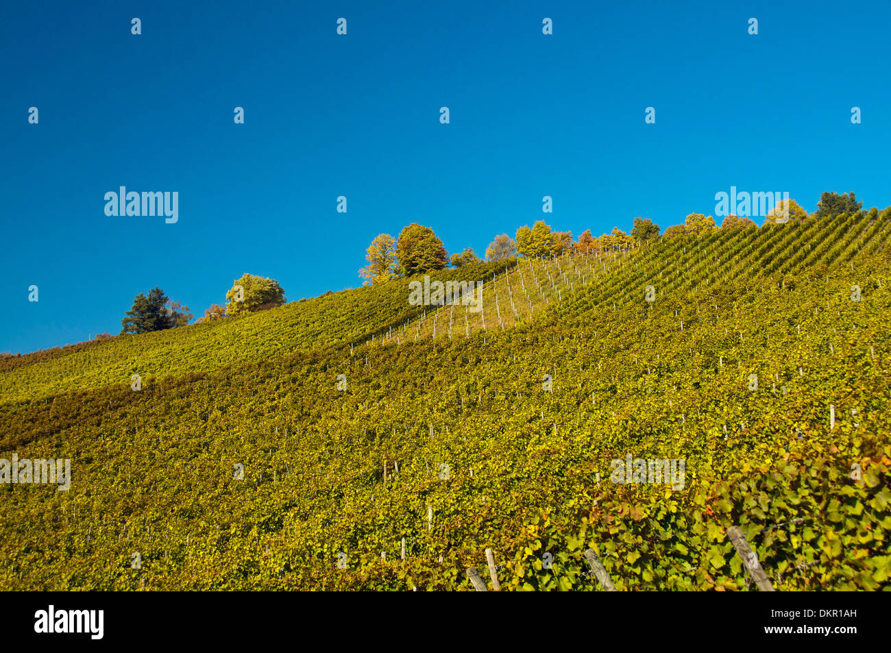 Baden Germany Europe Lemberg red mountain Stuttgart South Germany ...