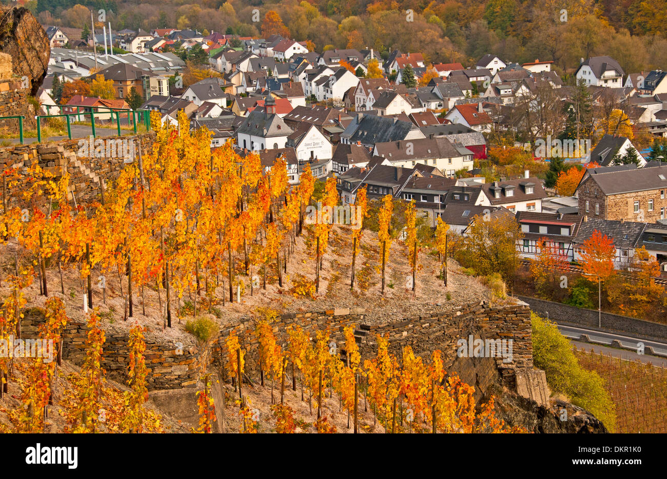 Ahrtal Dernau Germany Eifel Europe autumn Mayschoss Portugieser ...