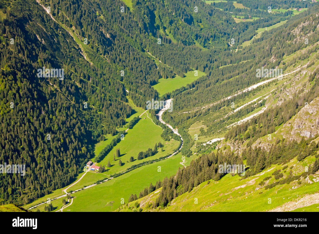 Forst view hi-res stock photography and images - Alamy