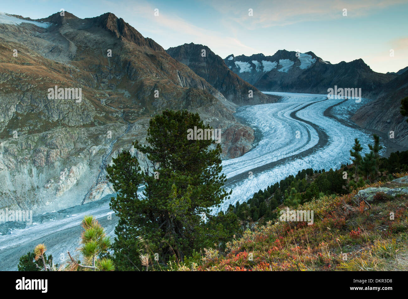 Grosser aletsch hi-res stock photography and images - Alamy