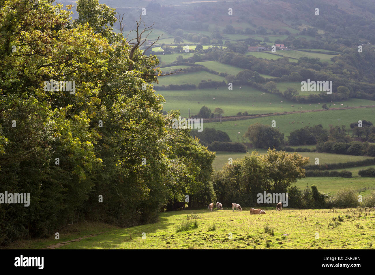 Sleights yorkshire hi-res stock photography and images - Alamy
