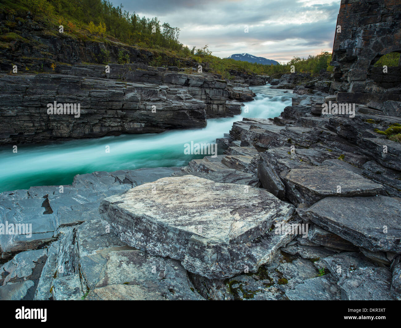 Abisko gorge Europe Northern Europe Sweden Scandinavia Skanden scenery ...
