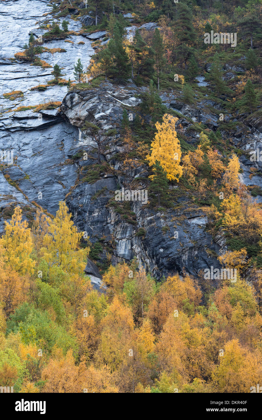 Kvanflag hi-res stock photography and images - Alamy