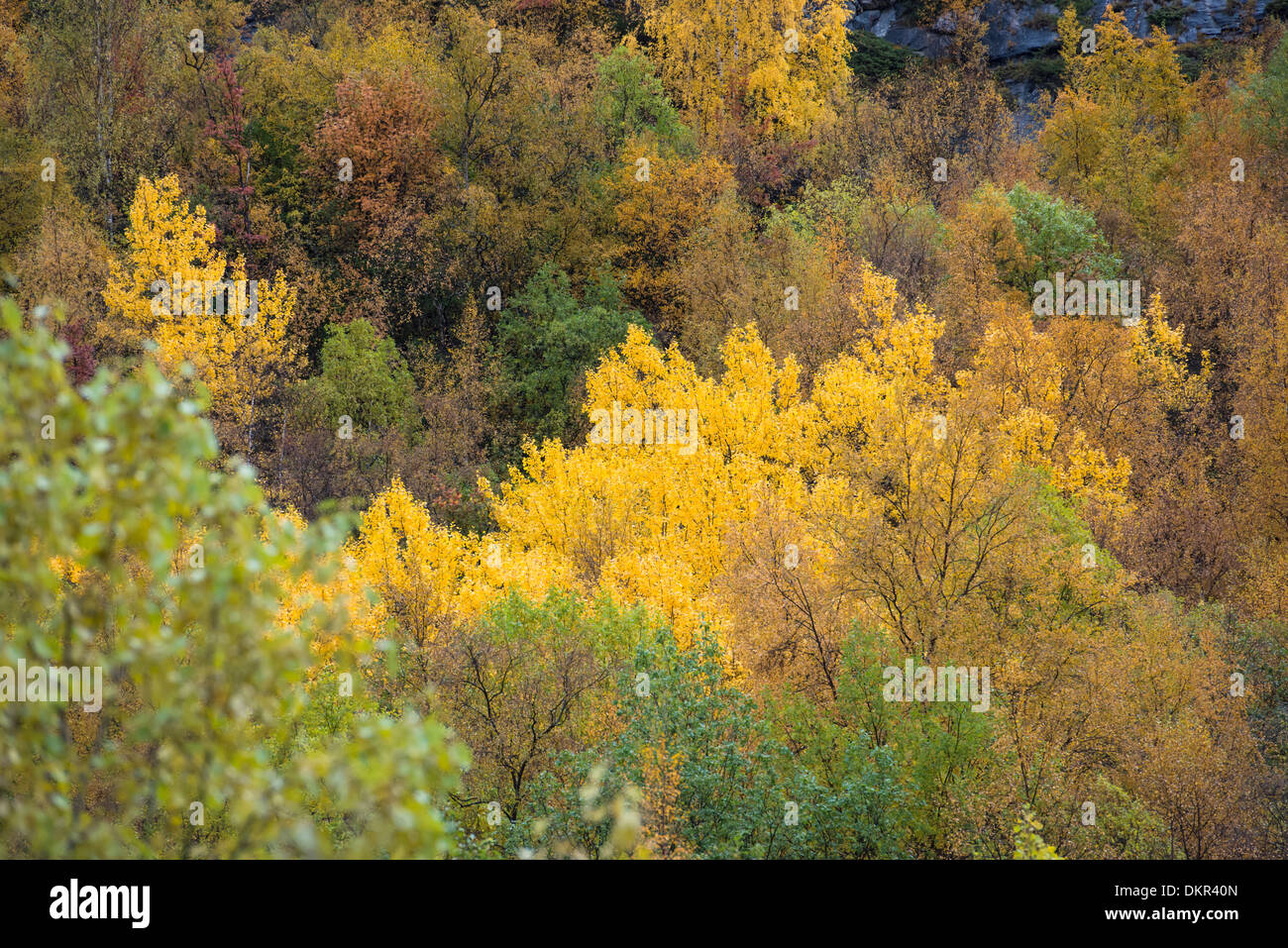 Kvänfläg Tunnelen Skanden Northern Europe Norway Scandinavia Europe ...