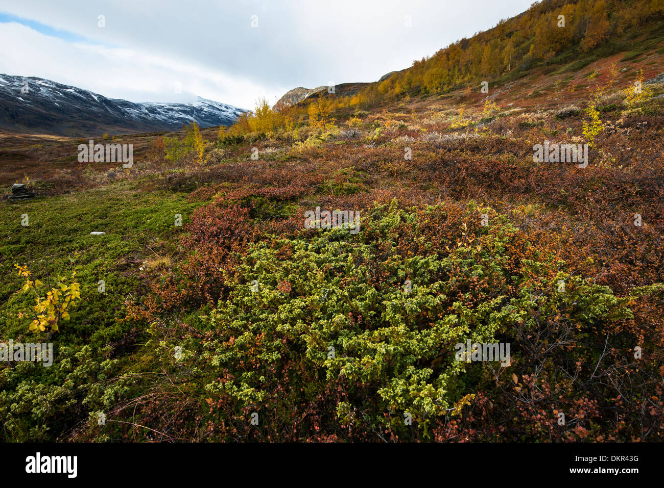 Skanden High Resolution Stock Photography and Images - Alamy