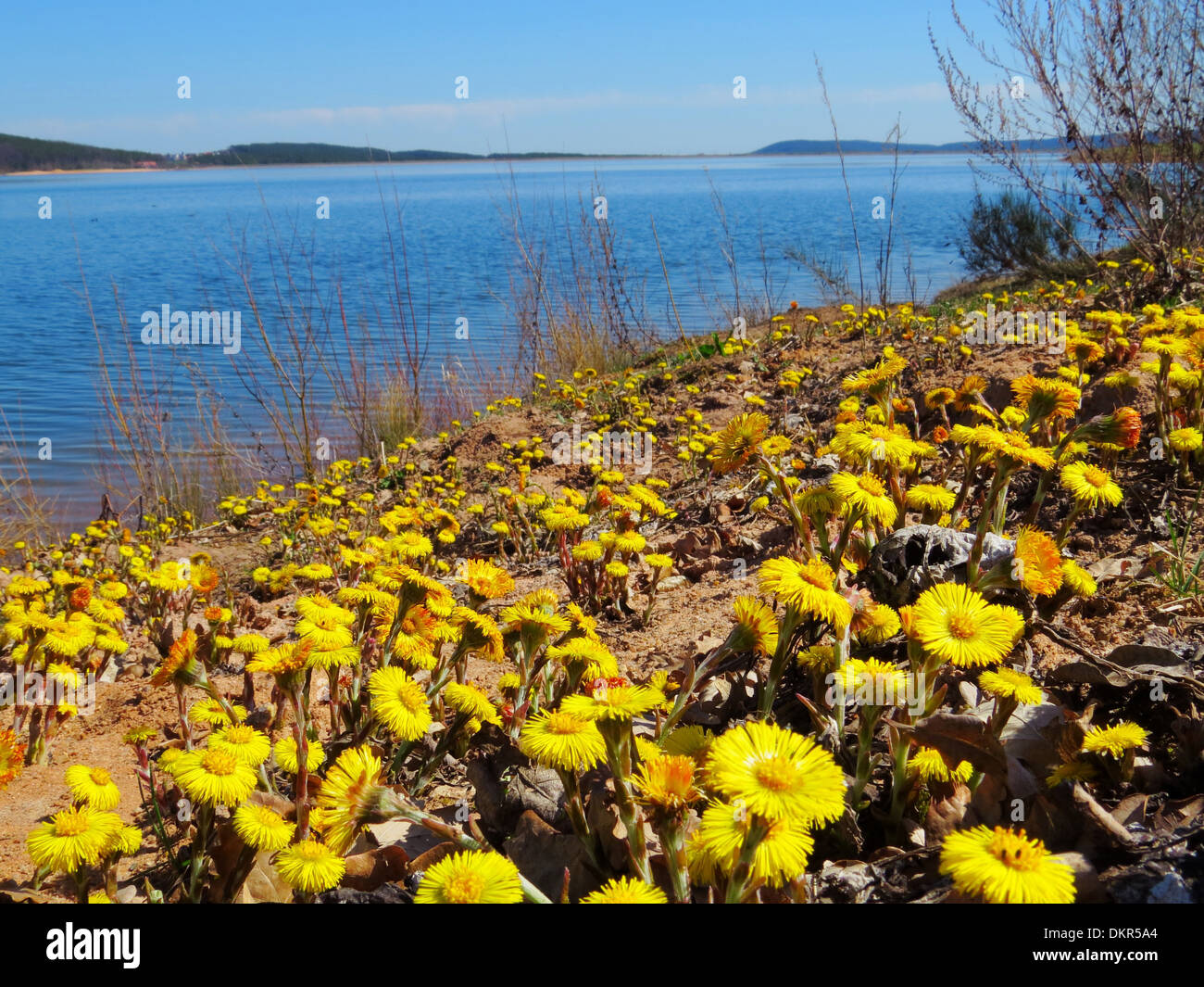 Brombachsee hi-res stock photography and images - Alamy