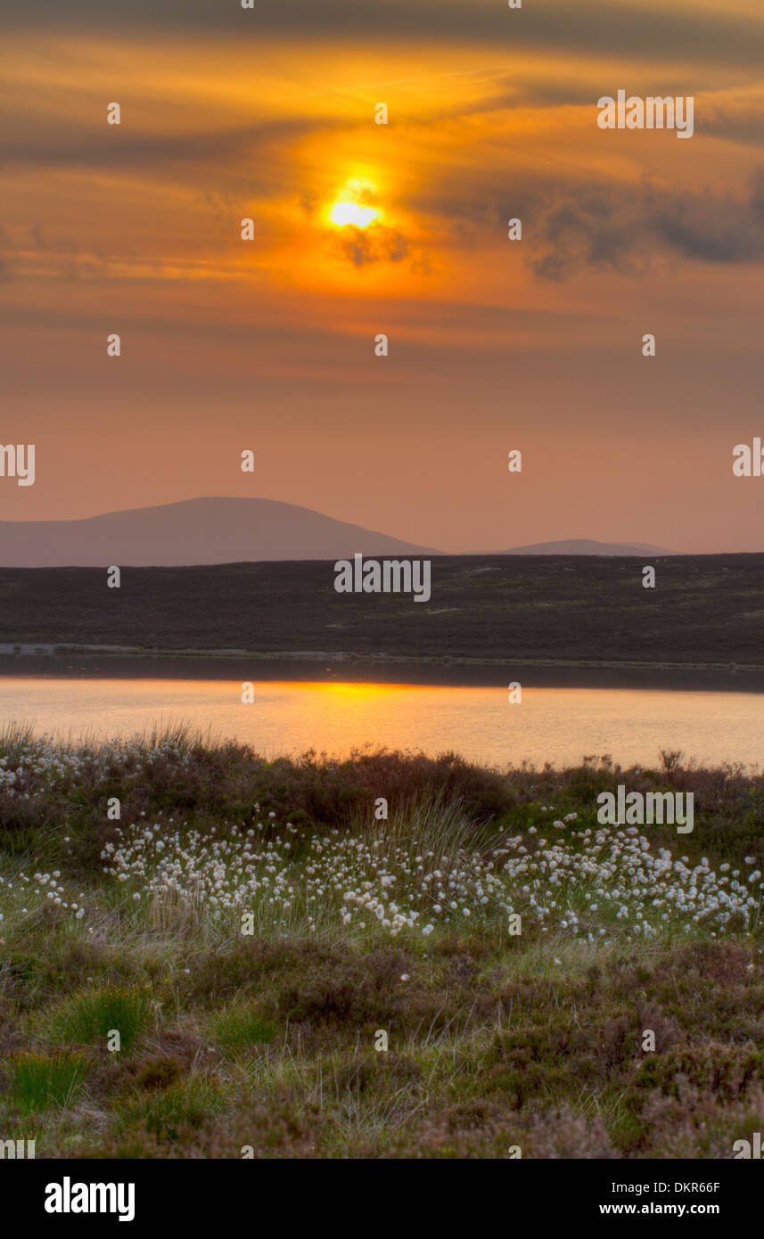 Plynlimon wales hi-res stock photography and images - Alamy