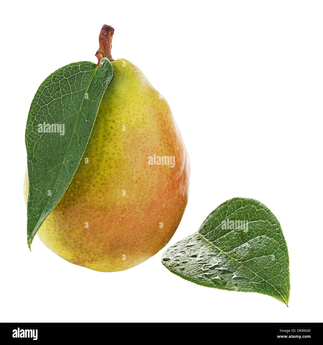 Tasty ripe pear leaves hi-res stock photography and images - Alamy