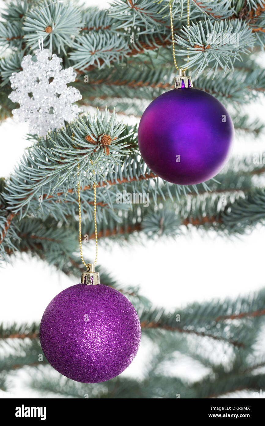 Christmas balls handing on a tree. With white background Stock Photo ...
