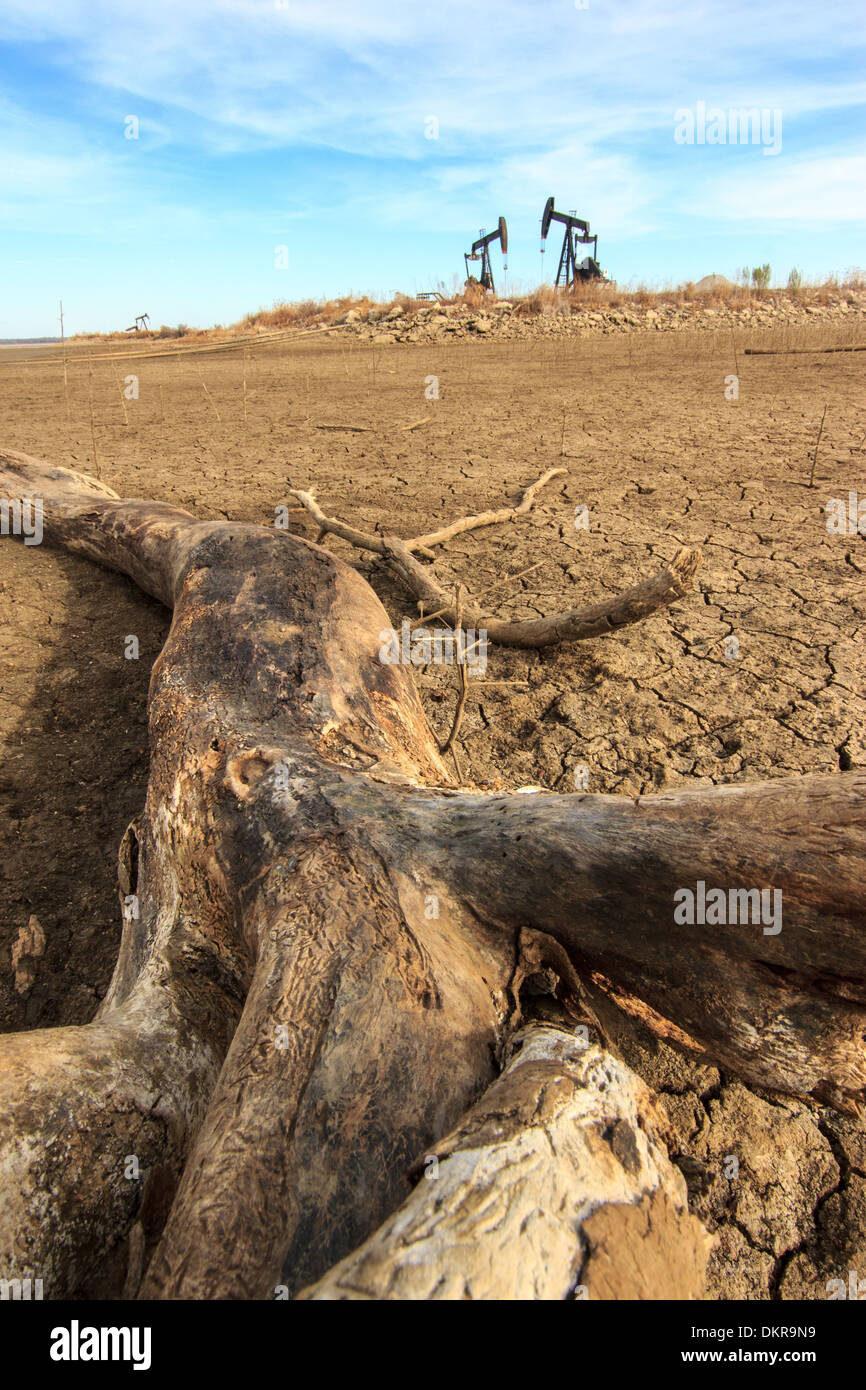 Hagerman, Lake Texoma, Texas, USA, drought, dry bed, lake bottom, brown ...