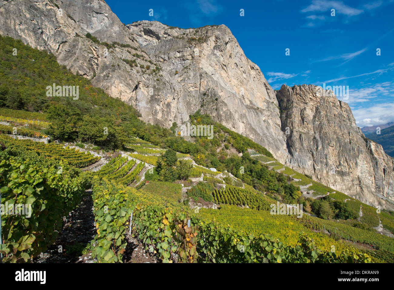 Chamoson vineyards hi-res stock photography and images - Alamy