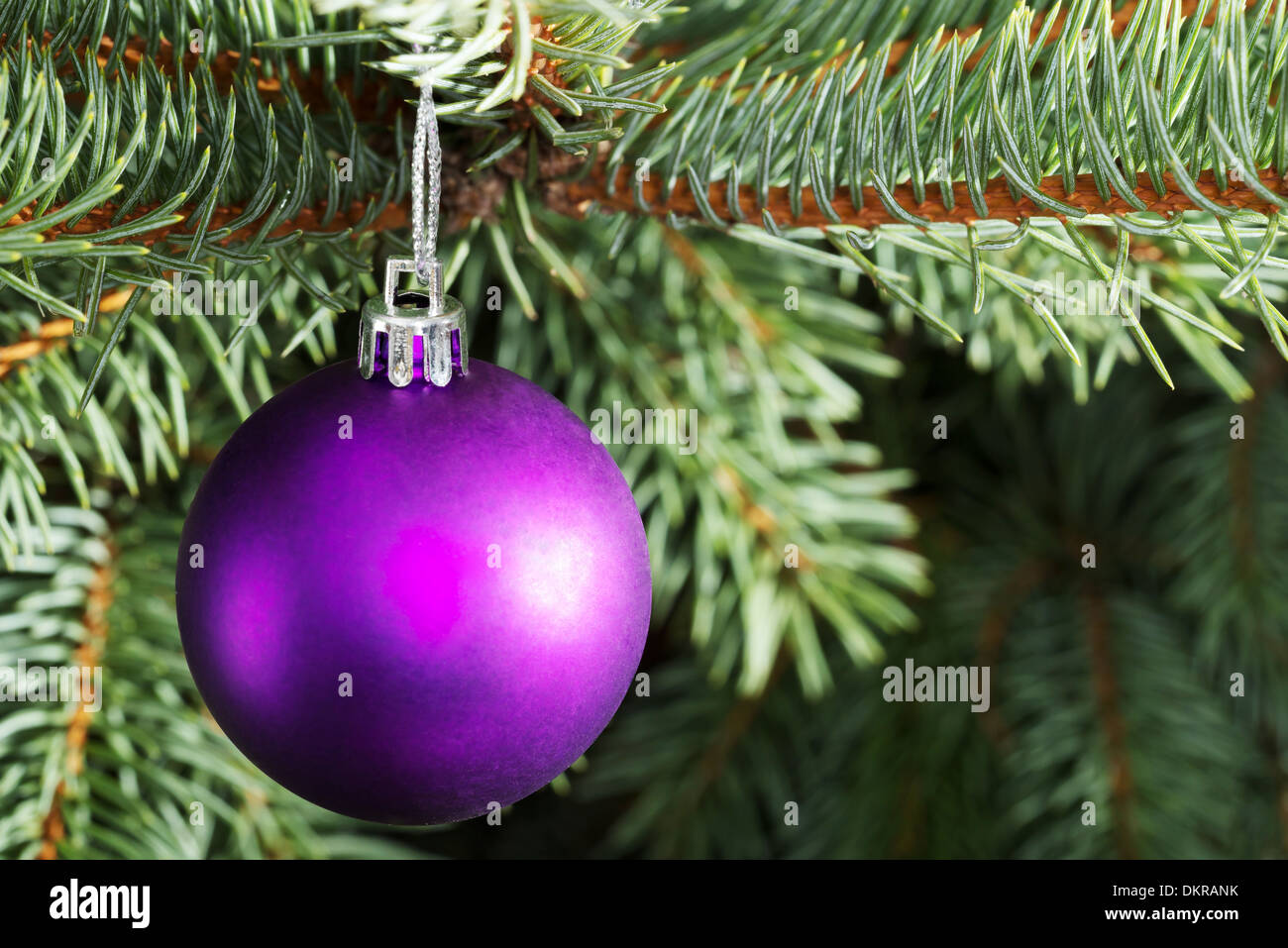 Christmas ball handing on a green tree Stock Photo - Alamy