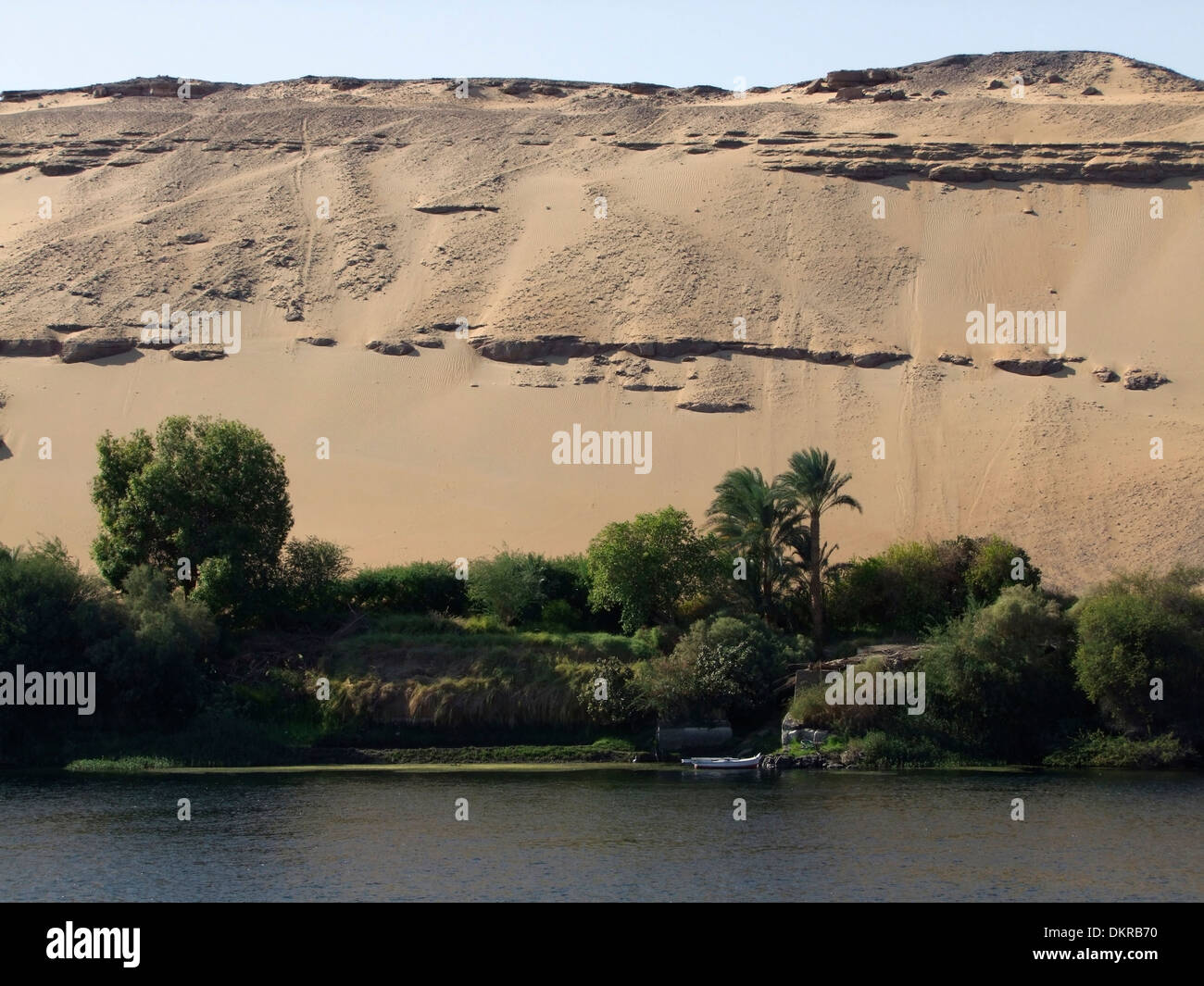 Vegetation nile river hi-res stock photography and images - Alamy