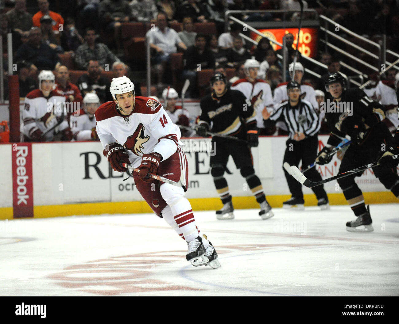 Taylor pyatt hi-res stock photography and images - Alamy