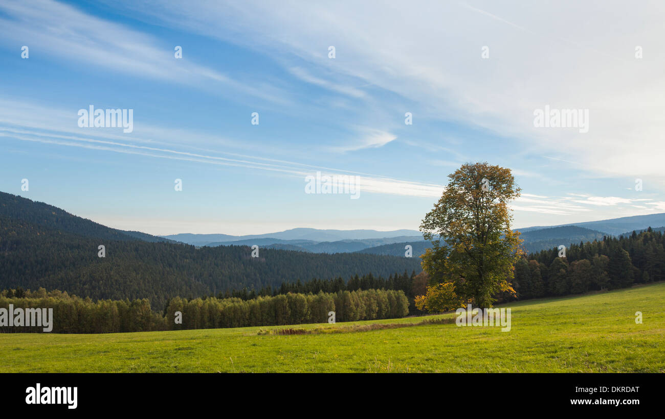 Bohemian forest hi-res stock photography and images - Alamy