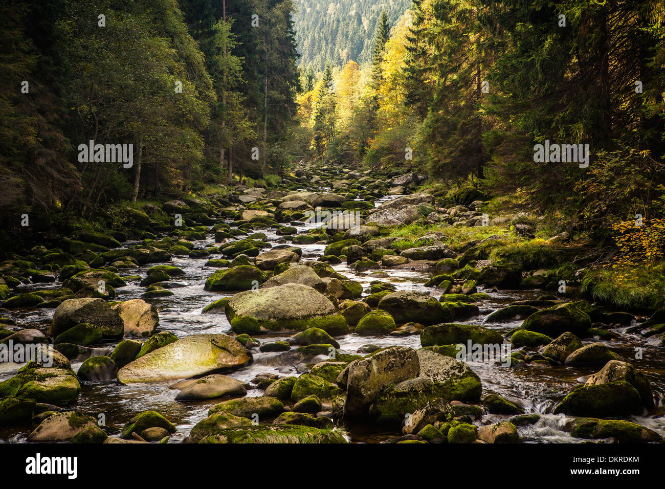 Vydra river valley hi-res stock photography and images - Alamy