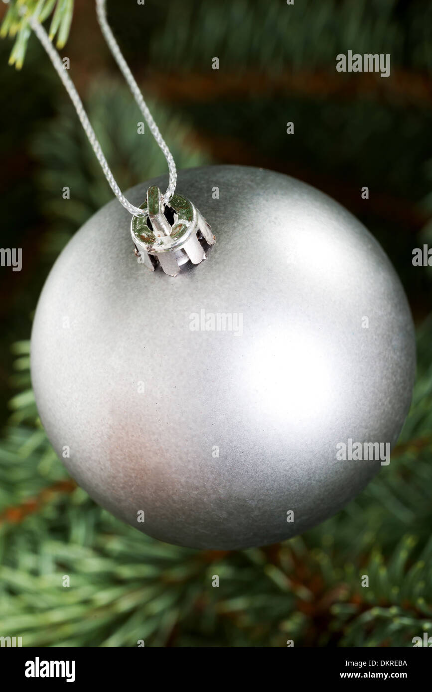 One silver christmas ball handing on a green tree Stock Photo - Alamy