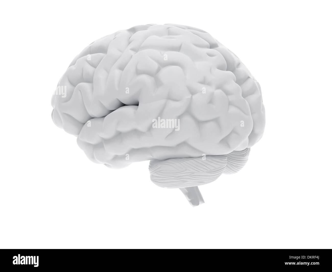 High resolution image. 3d rendered illustration. 3d human brain Stock ...