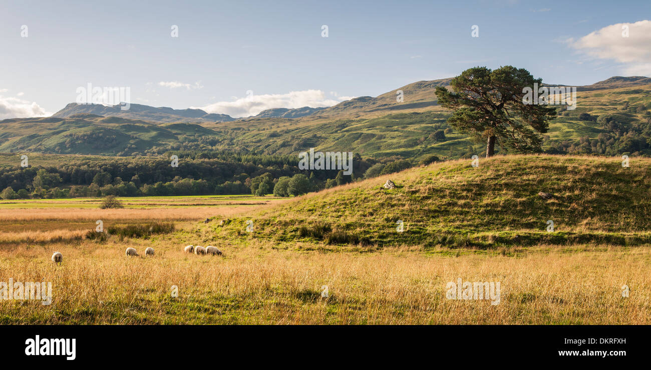 Scottish Highlands, Scotland, Europe Stock Photo - Alamy