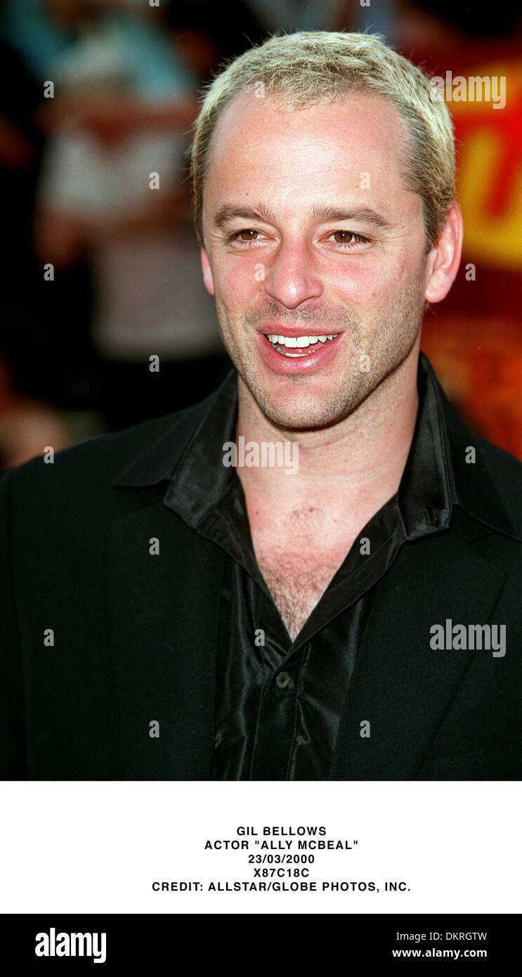 Gil bellows mcbeal hi-res stock photography and images - Alamy