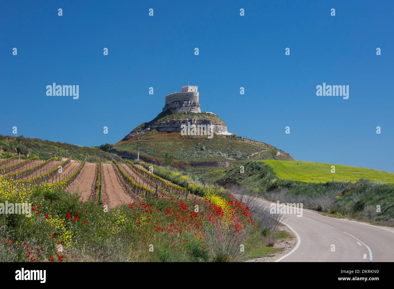 Castilla Castile Duero Valladolid poppies architecture castle curiel ...
