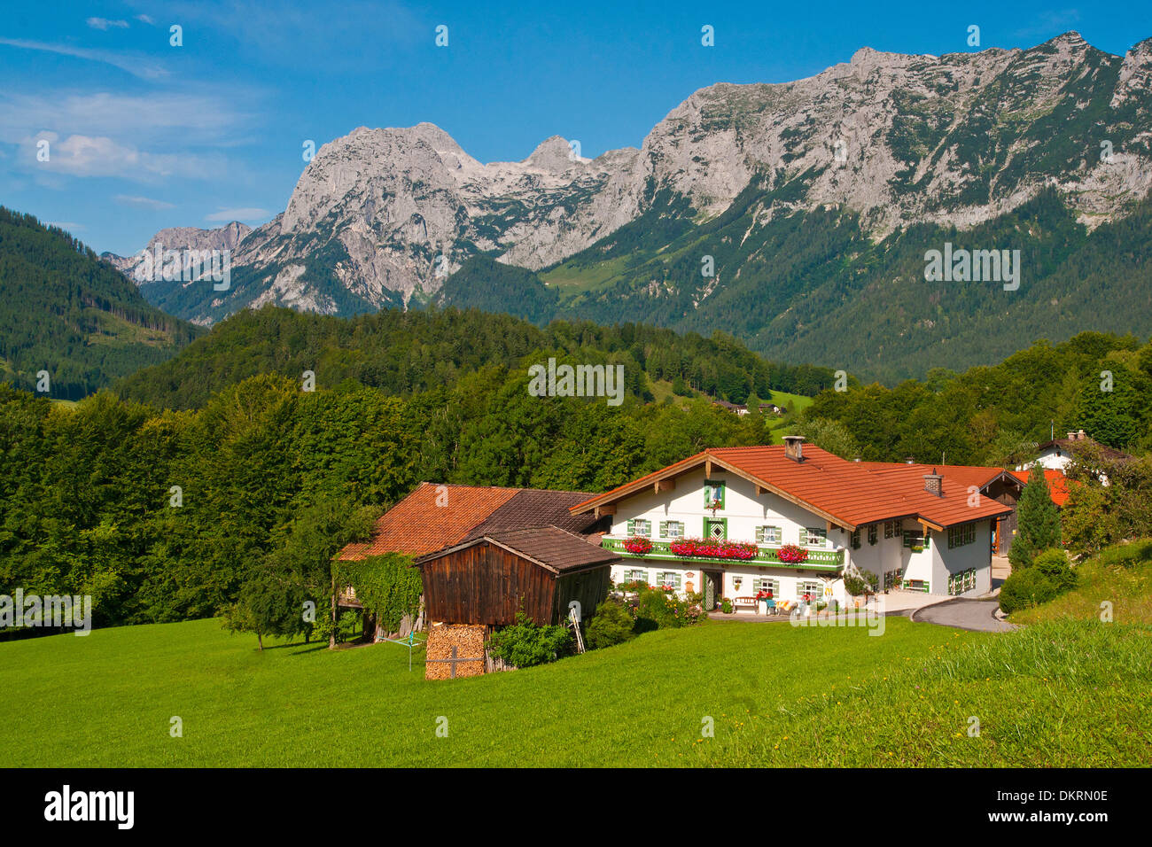 Freidinglehen hi-res stock photography and images - Alamy
