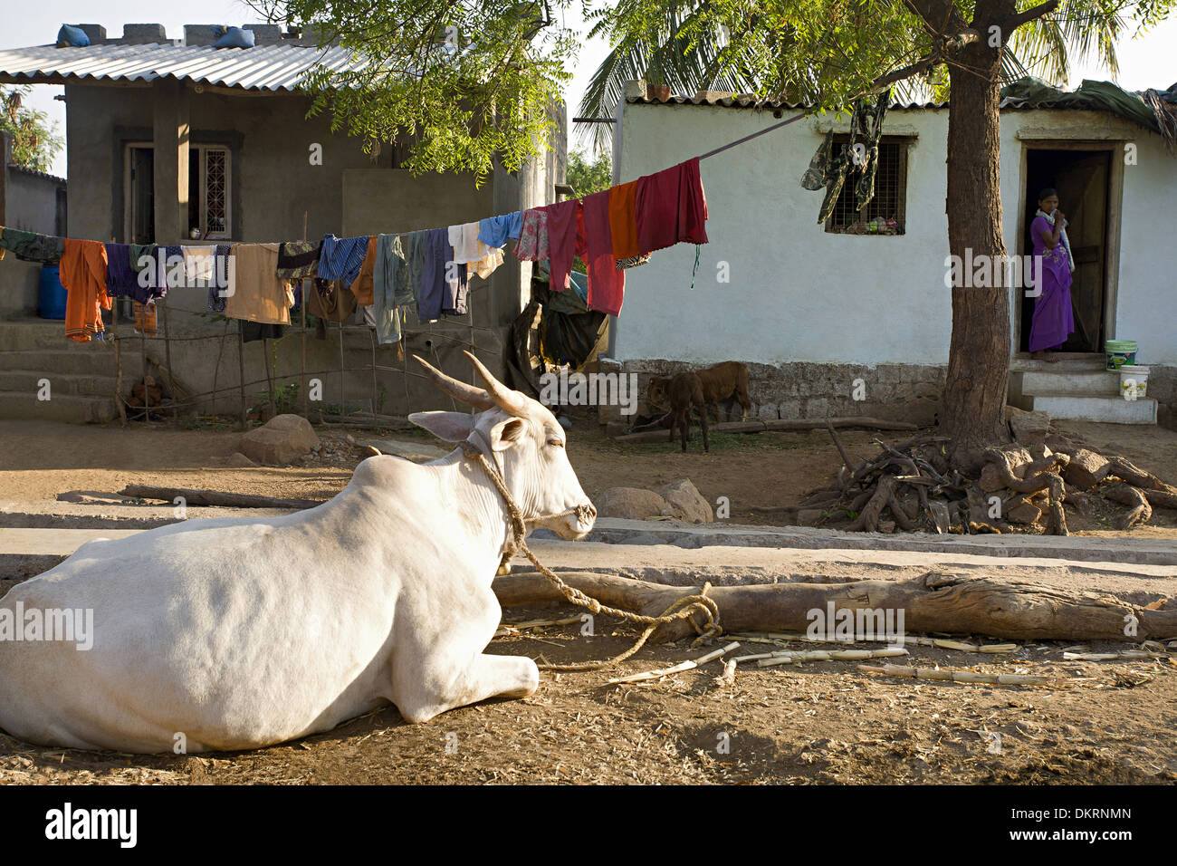 Rural karnataka hi-res stock photography and images - Alamy