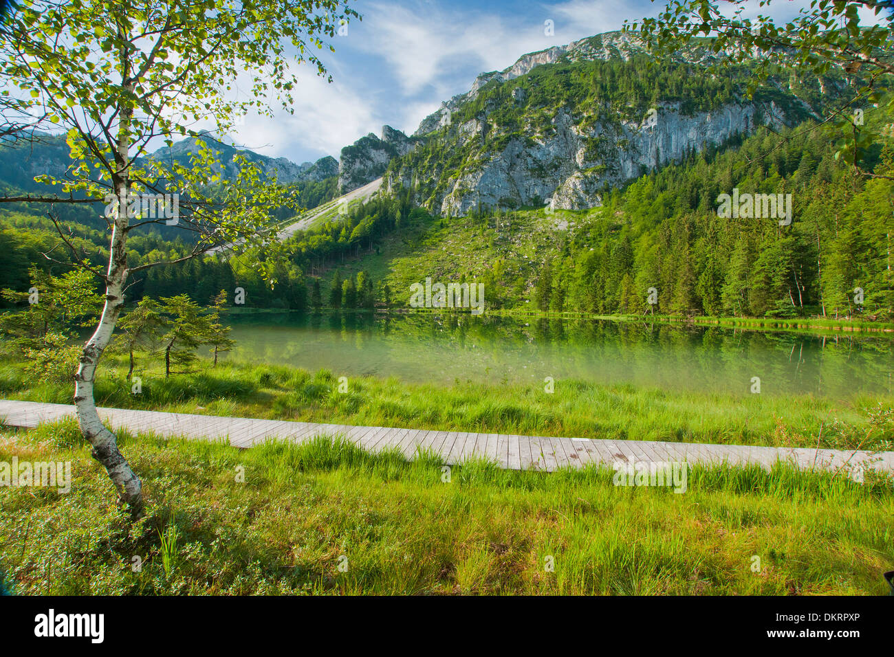 Bavaria Germany Europe Upper Bavaria Chiemgau Inzell Frillensee lake ...