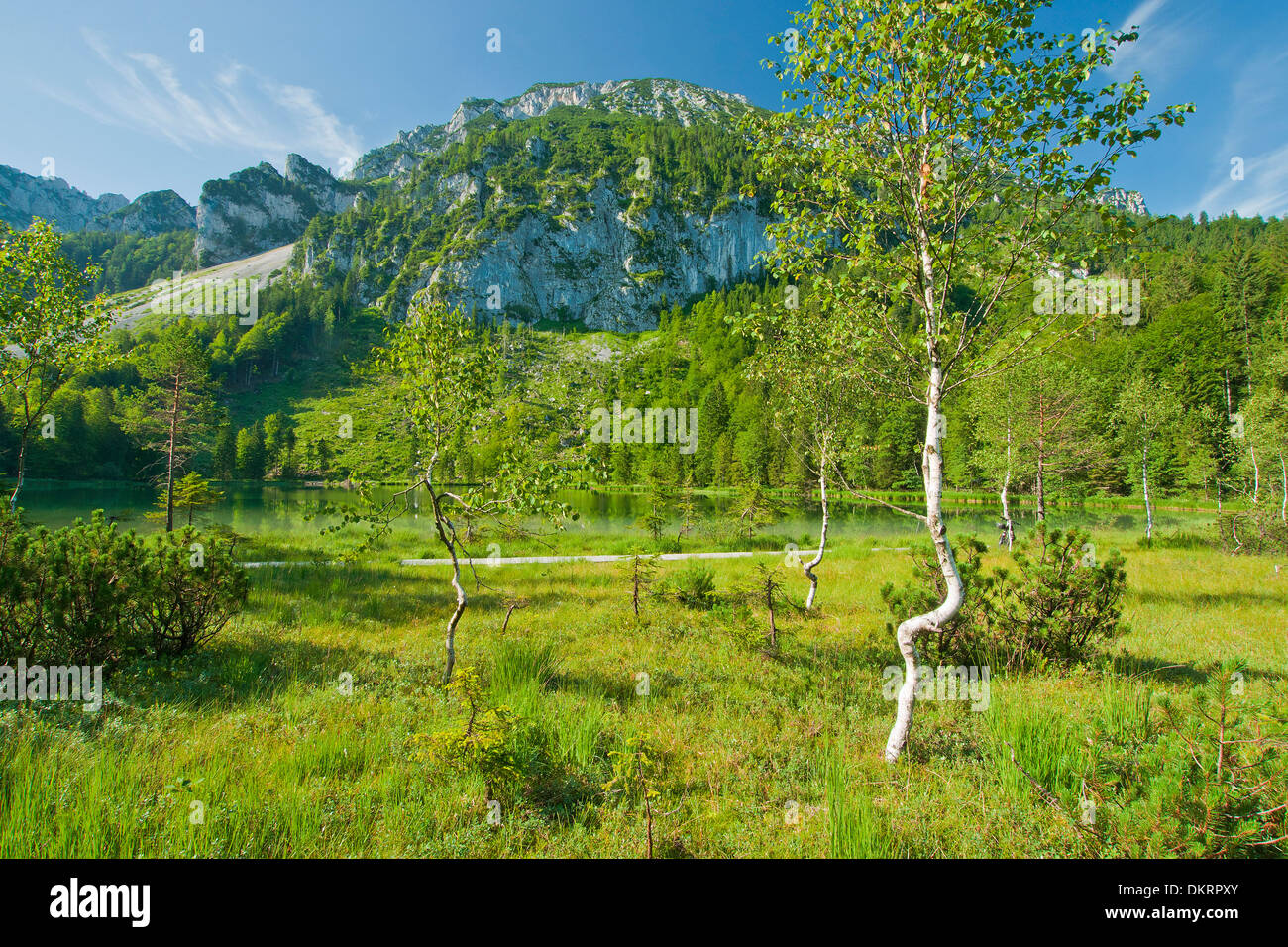 Bavaria Germany Europe Upper Bavaria Chiemgau Inzell Frillensee lake ...