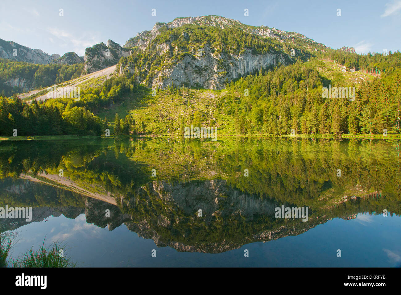 Bavaria Germany Europe Upper Bavaria Chiemgau Inzell Frillensee lake ...