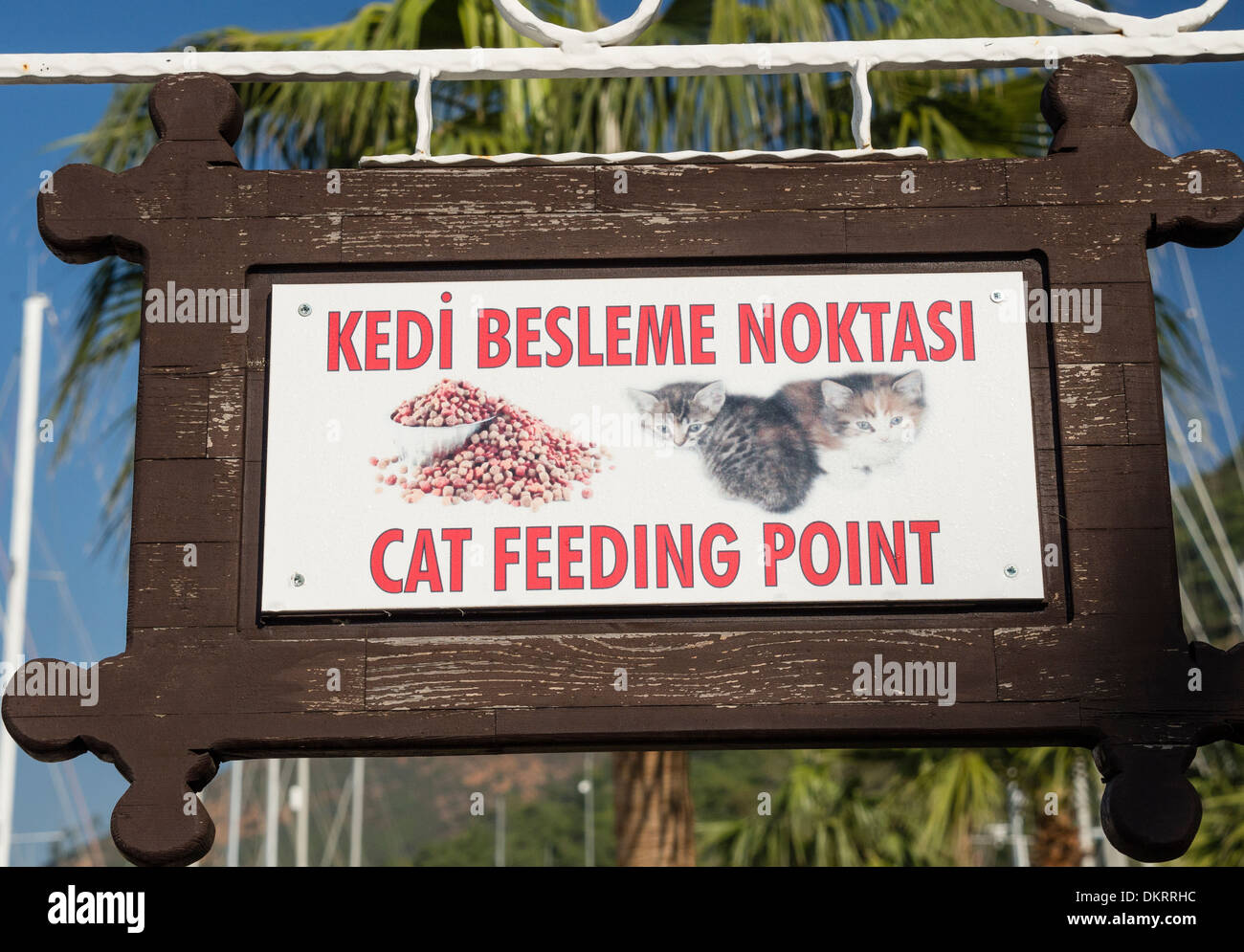 Cat feeding point in Marmaris Turkey Stock Photo - Alamy
