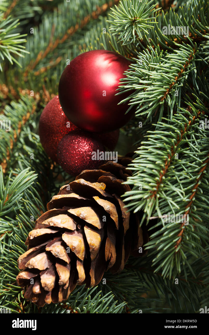 Christmas decorations- pine, balls on a tree. Over green background ...
