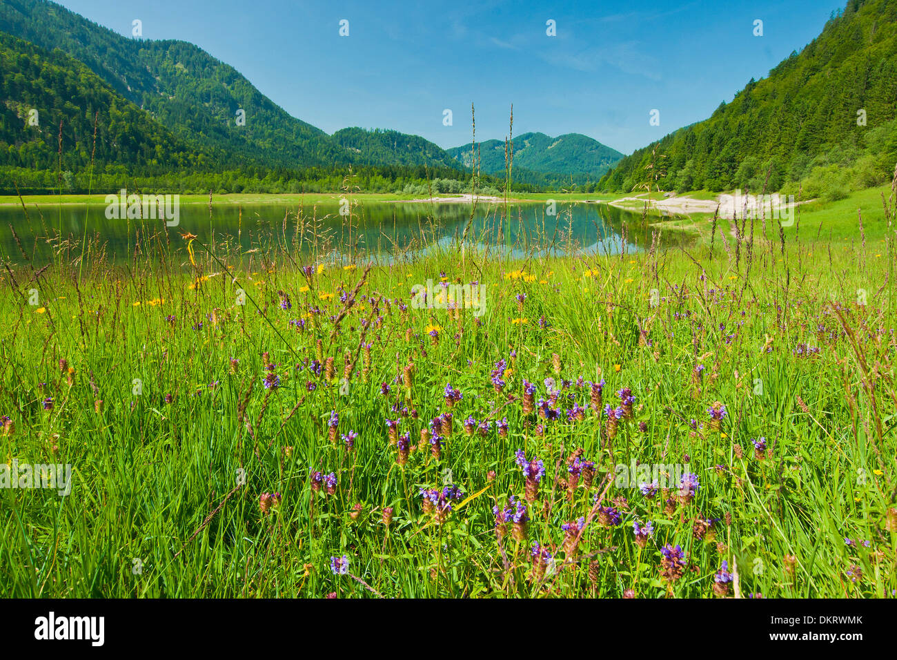 Germany Europe Bavaria Upper Bavaria Ruhpolding Chiemgau panorama ...