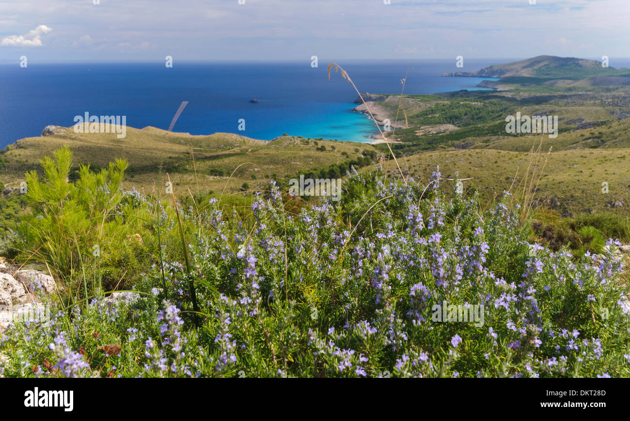 Natural Park of the peninsula of Llevant, Mallorca, Balearic Islands ...