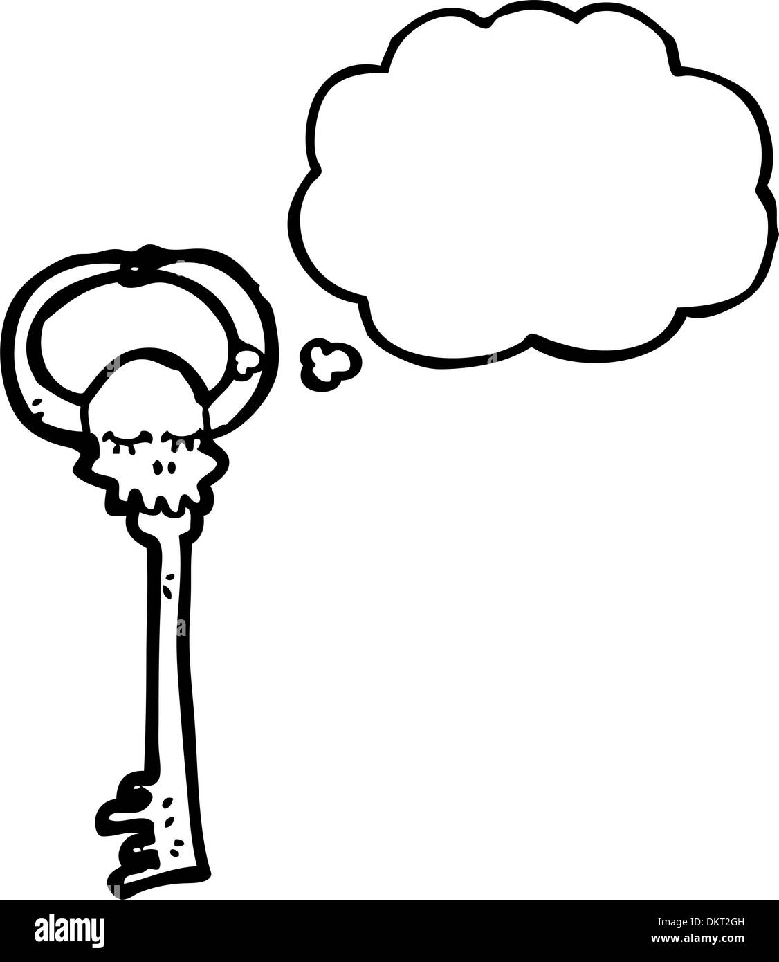 magic key cartoon Stock Vector Image & Art - Alamy