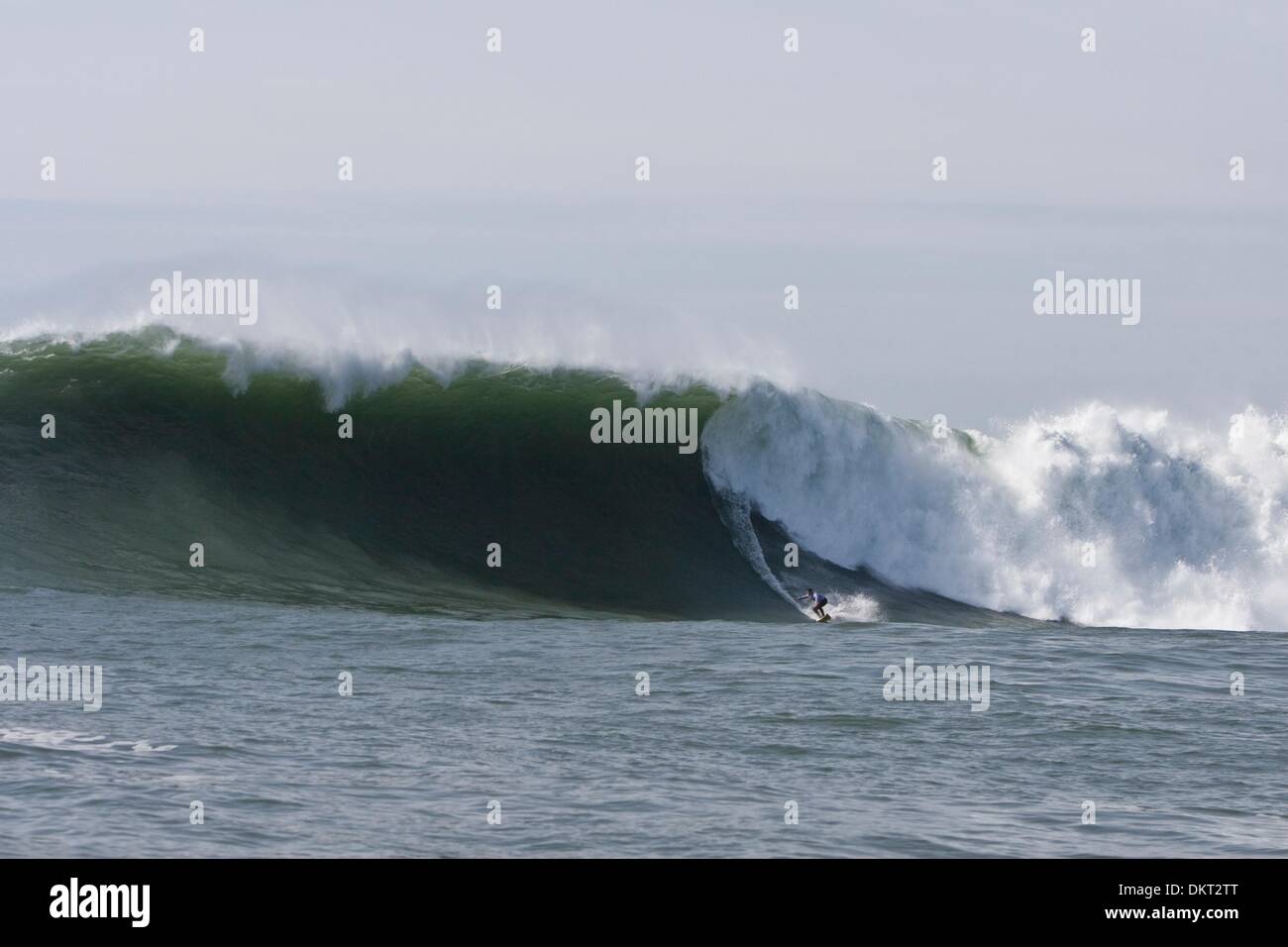 Feb 13, 2010 - Half Moon Bay, California, USA - DAVE WASSEL at the ...