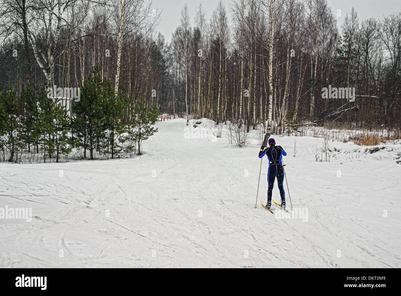 Winter ski orienteering competition. The athlete slides on skis Stock ...