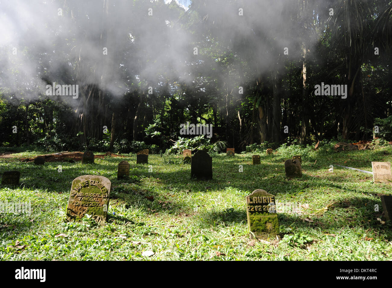 Asia, Indonesia, Bali, Ubud, wood, forest, monkey forest, cemetery ...