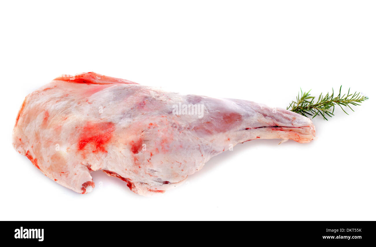 Raw leg lamb in Cut Out Stock Images & Pictures - Alamy