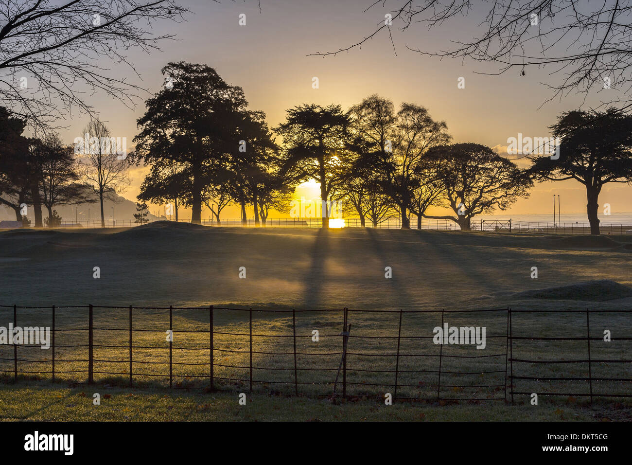 Early morning mist over Torre Abbey,Torquay,devon,water, outdoor ...
