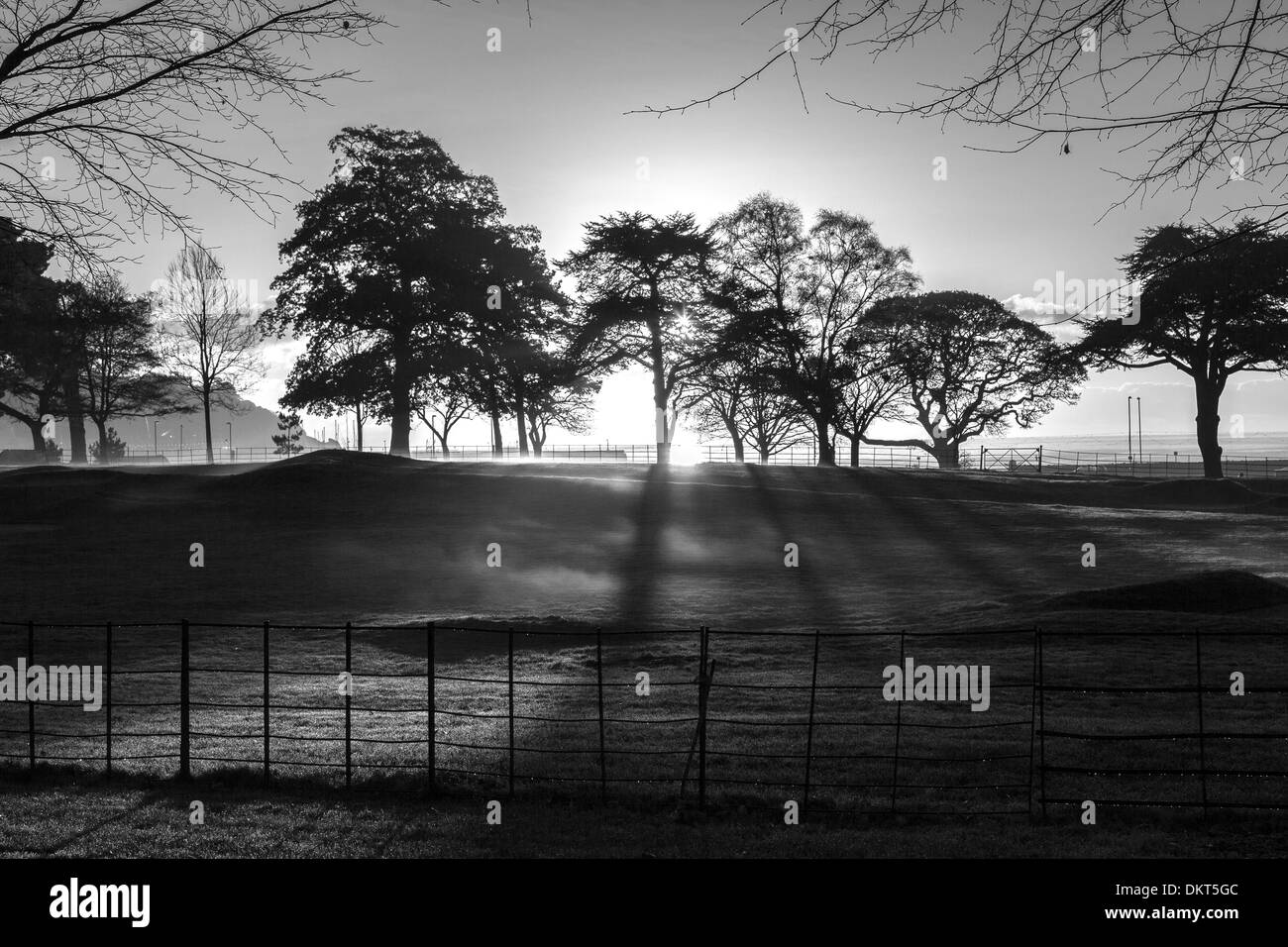 Early morning mist over Torre Abbey,Torquay,devon,mist, fog, cold, two ...
