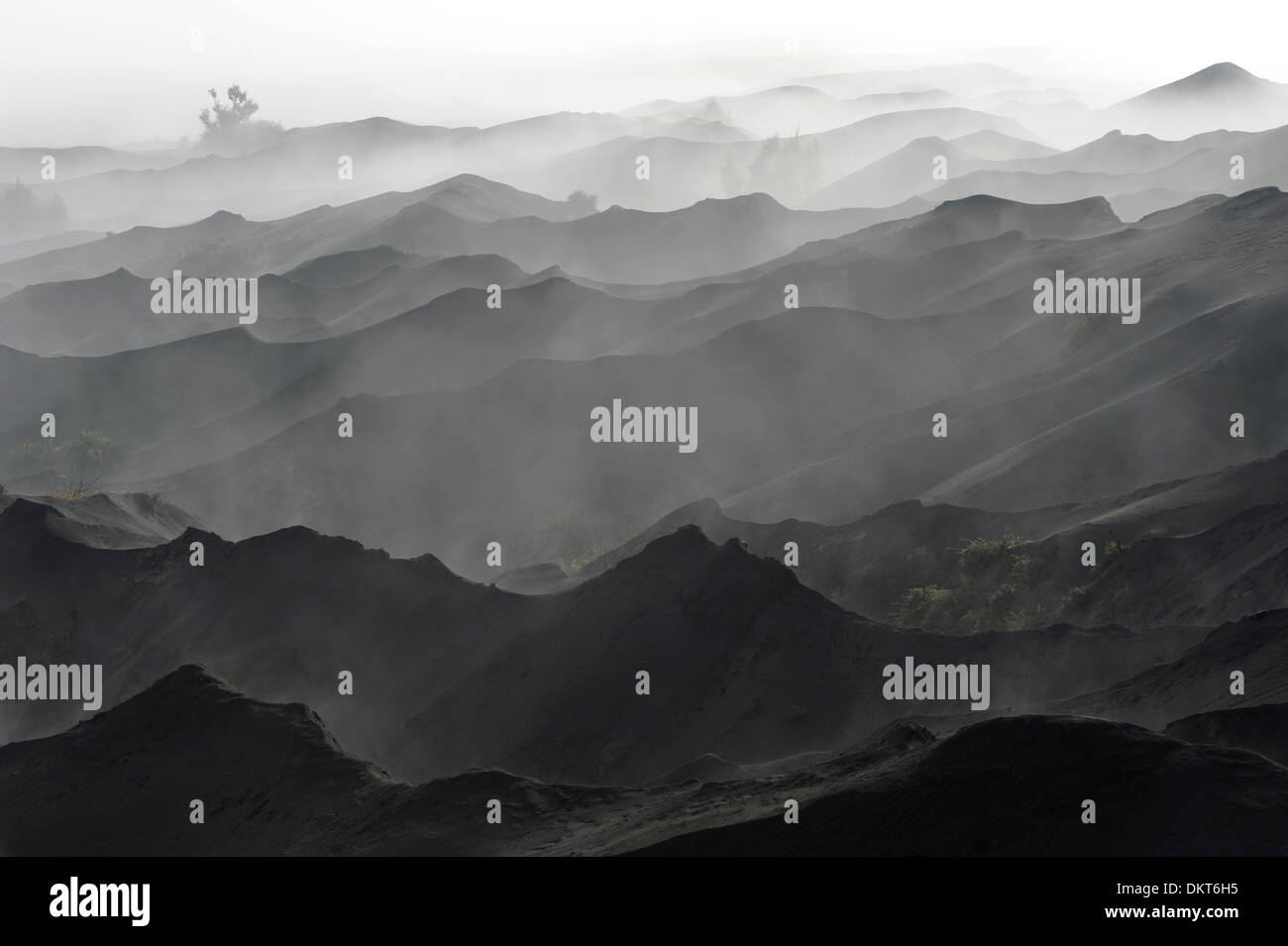Asia, Indonesia, Java, Bromo Tengger Semeru, Bromo, Tengger, Semeru ...