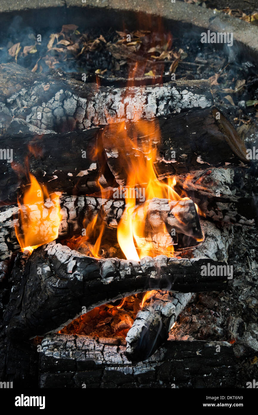Flames and burnt wood in a campfire ring Stock Photo - Alamy