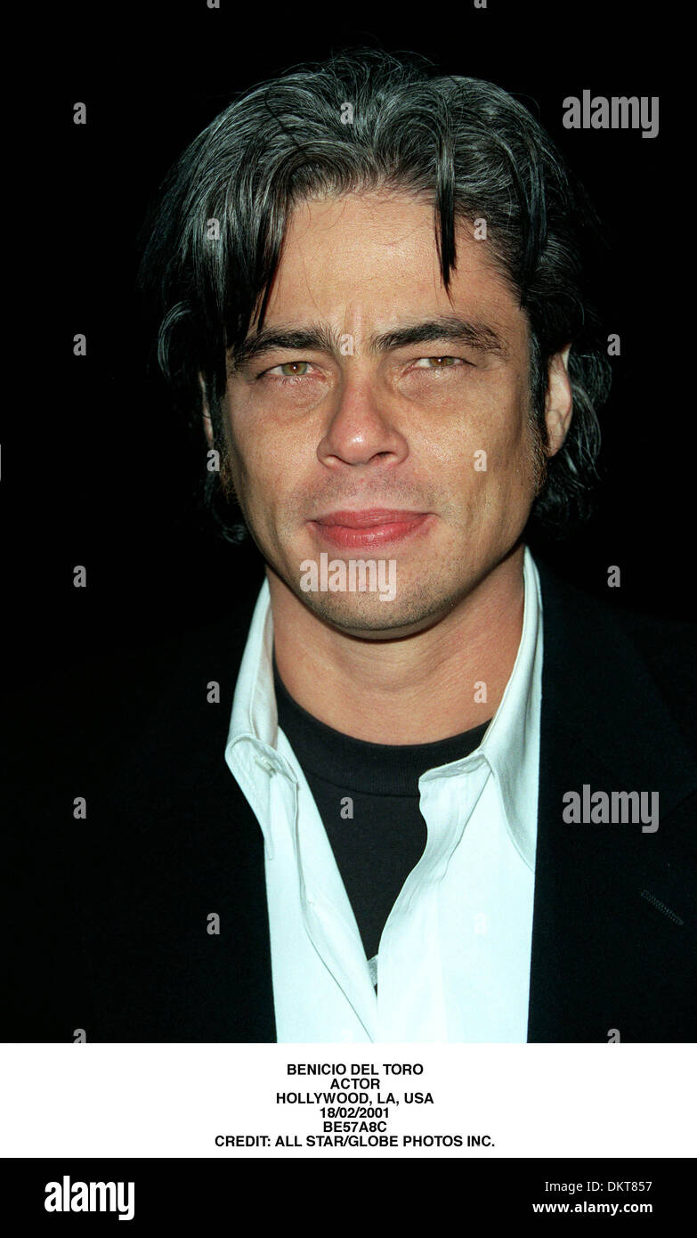 Benicio del toro actor hollywood hi-res stock photography and images ...