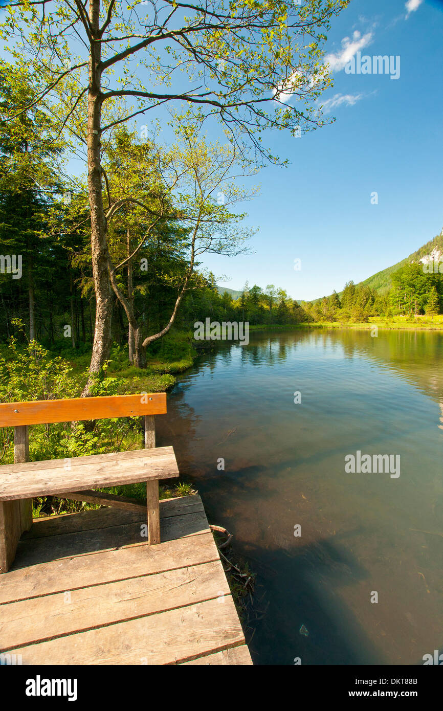 Bavaria Germany Europe Upper Bavaria Chiemgau Inzell falcon's lake lake ...