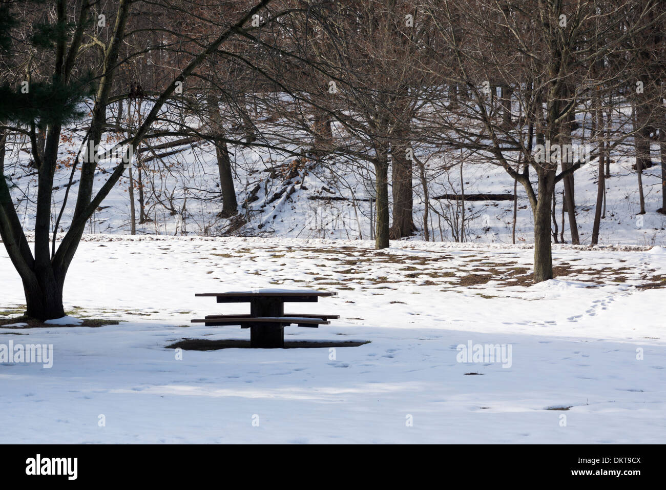 Snow melting in a forest hi-res stock photography and images - Alamy